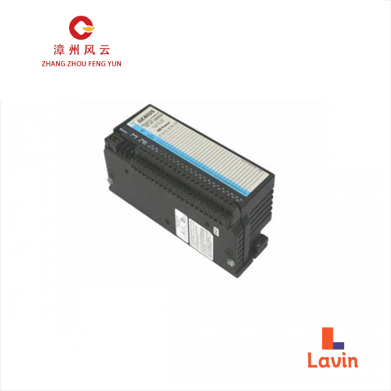 GE IC660EBD025 PLC Module for Industrial Automation - www.moduledcs.com